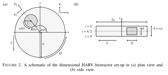 SOLVED: Consider the following figure of a rotating high-aspect-ratio ...
