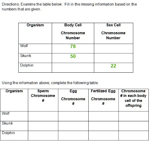 Directions: Examine the table below. Fill in the missing information ...