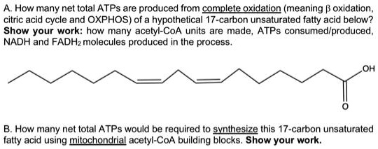 A. How many net total ATPs are produced from complete oxidation (meaning ? oxidation, citric ...