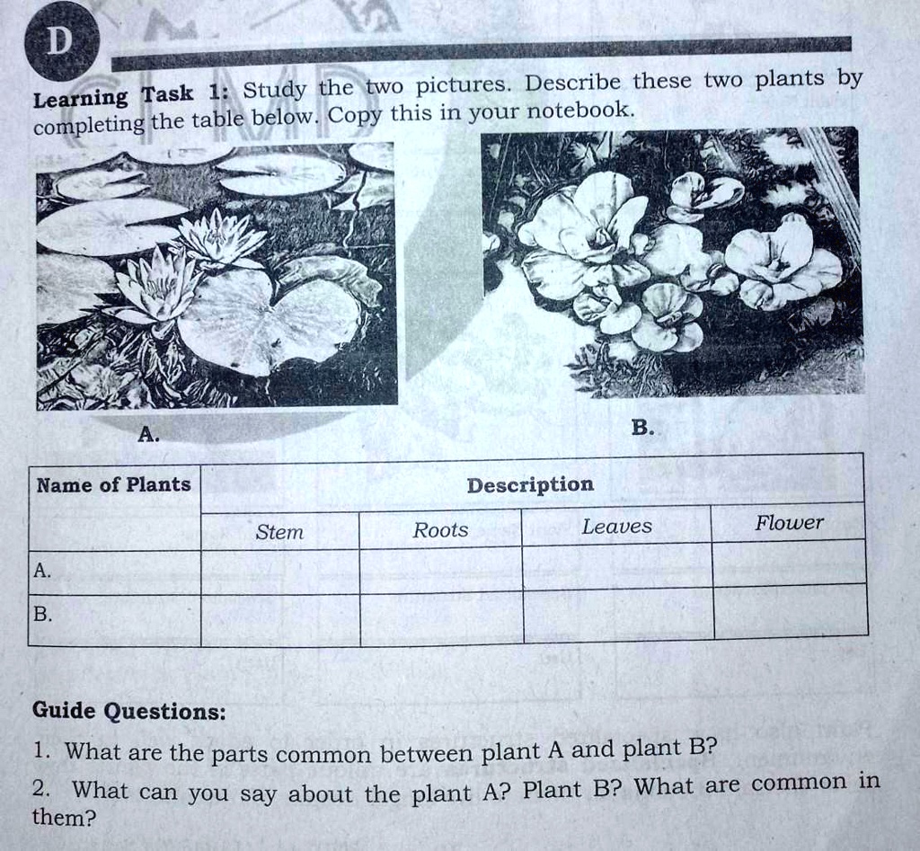 SOLVED: 'study the two pictures describe this to plants by completing ...