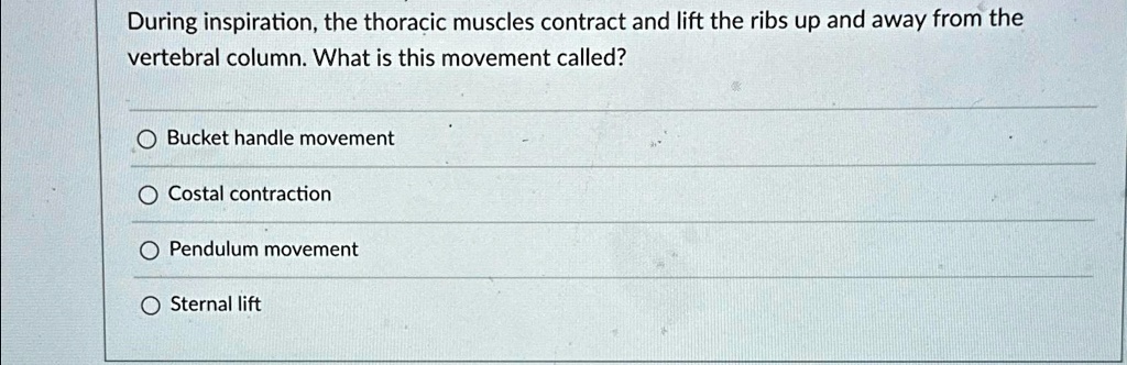 During inspiration, the thoracic muscles contract and lift the ribs up ...