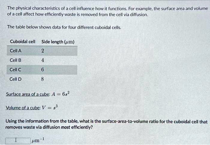 The physical characteristics of a cell influence how it functions. For ...