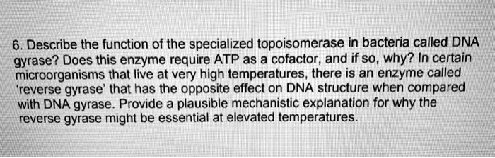 6 describe the function of the specialized topoisomerase in bacteria ...