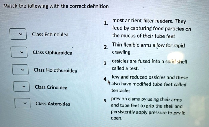 match the following with the correct definition most ancient filter ...