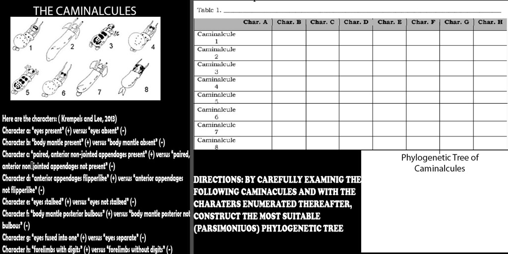 the caminalcules tablc hat ghatr char char d char e char char g char h ...