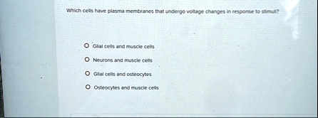which cells have plasma membranes that undergo voltage changes in ...