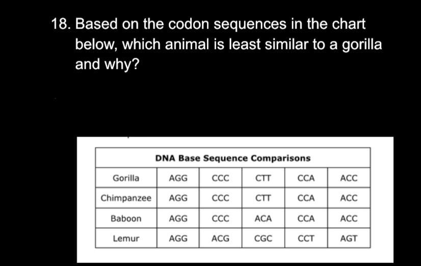 SOLVED: 'PLEASE HELP AND EXPLAIN UR ANSWER 18. Based on the codon ...