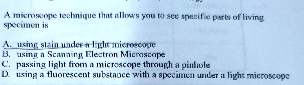 A microscope technique that allows you to see specific parts of living ...