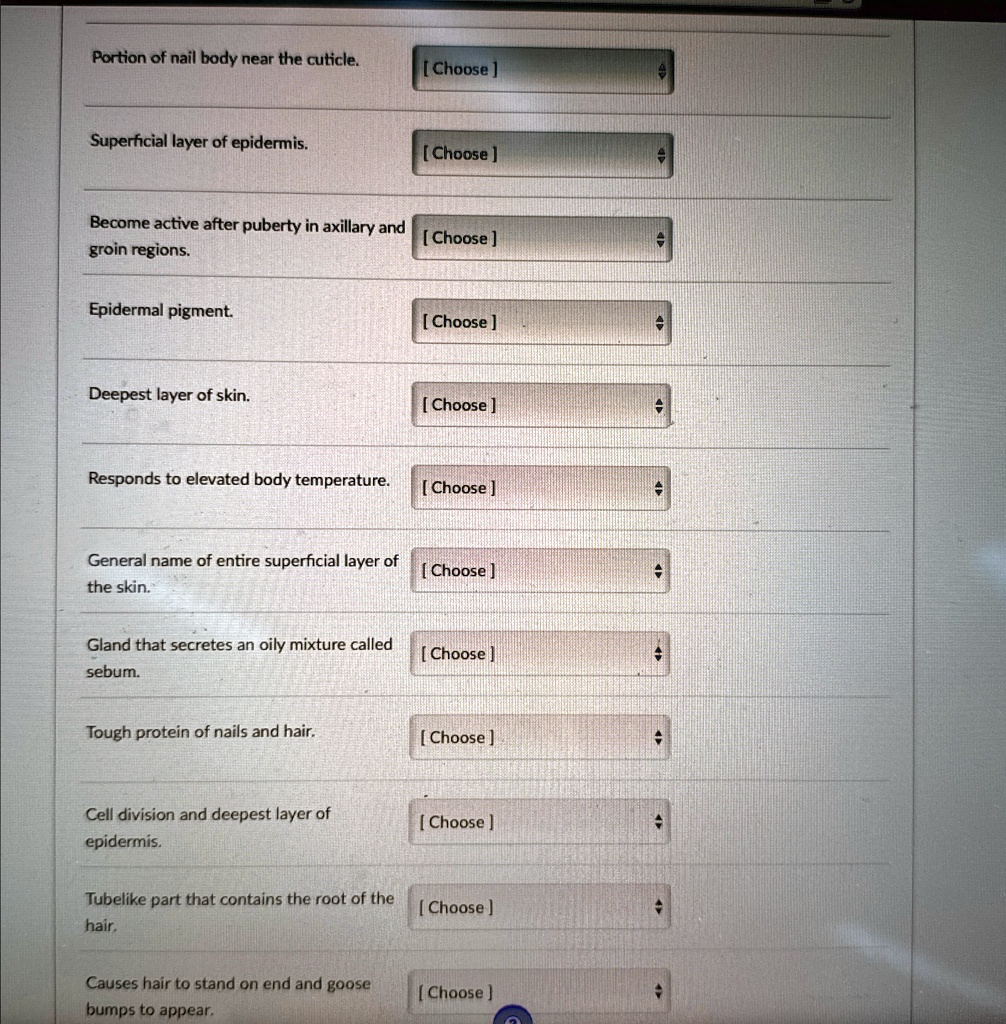 portion of nail body near the cuticle superficial layer of epidermis ...