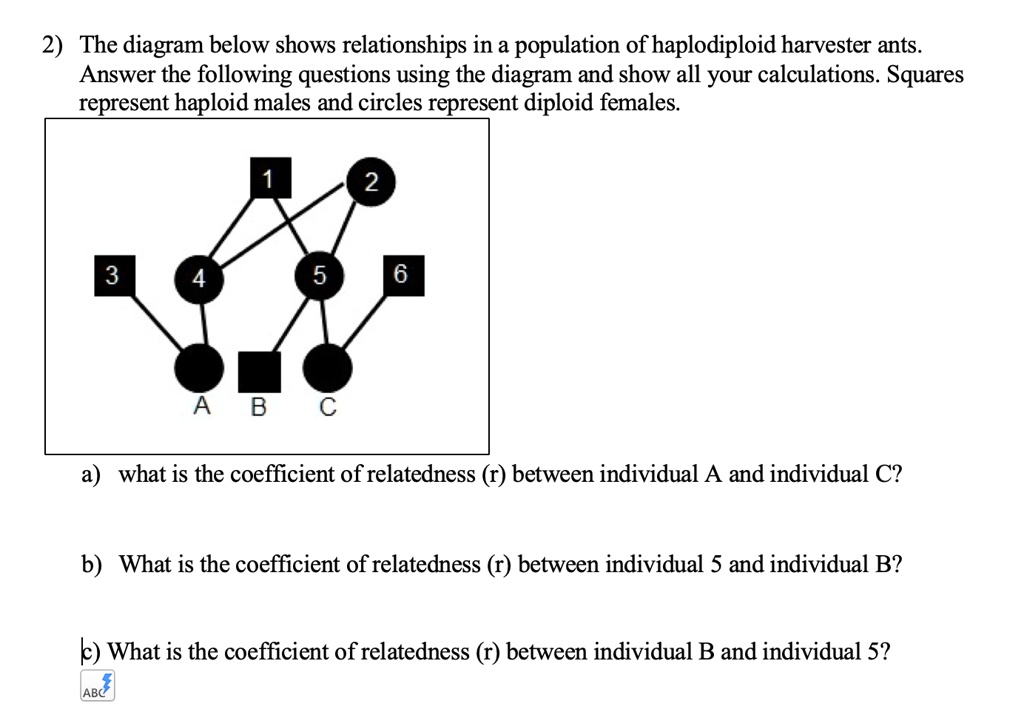 2 the diagram below shows relationships in a population of haplodiploid ...