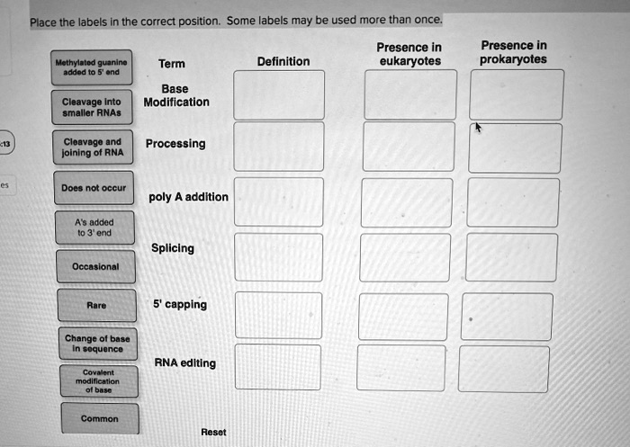 SOLVED: Place the labels in the correct position: Some labels may be used more than once ...