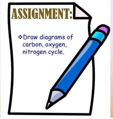 SOLVED: 'Draw a diagram of carbon, oxygen and nitrogen cycle ...