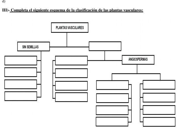 SOLVED: Completa el siguiente esquema de la clasificación de las ... SOLVED: Completa el siguiente esquema de la clasificación de las ...