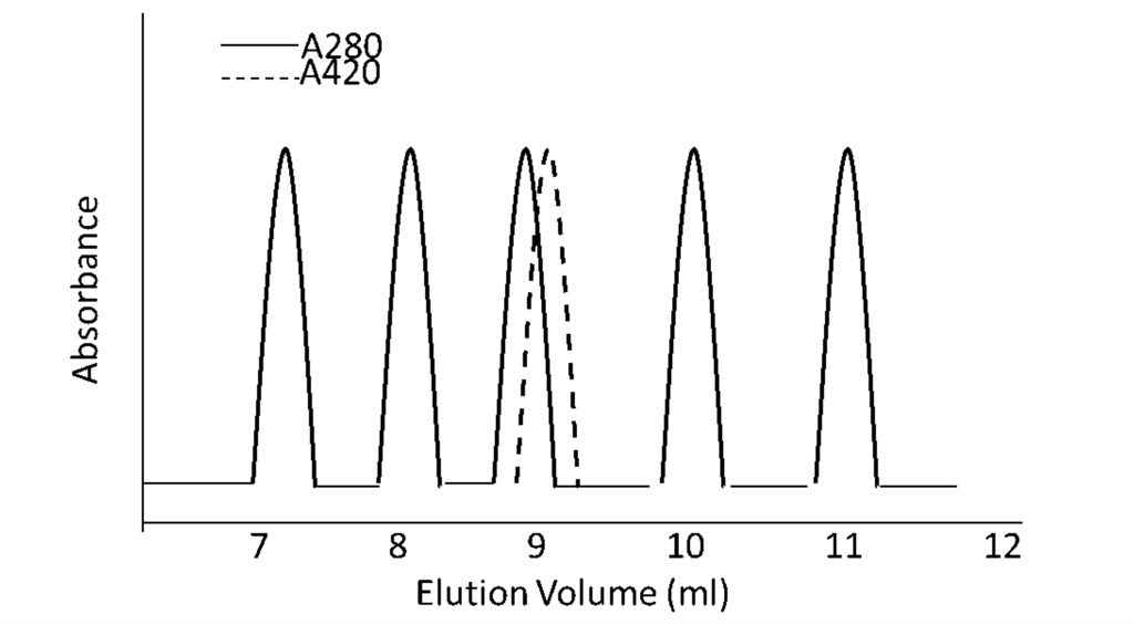 A280 A420 Absorbance 7 8 9 10 11 12 Elution Volume (ml)
