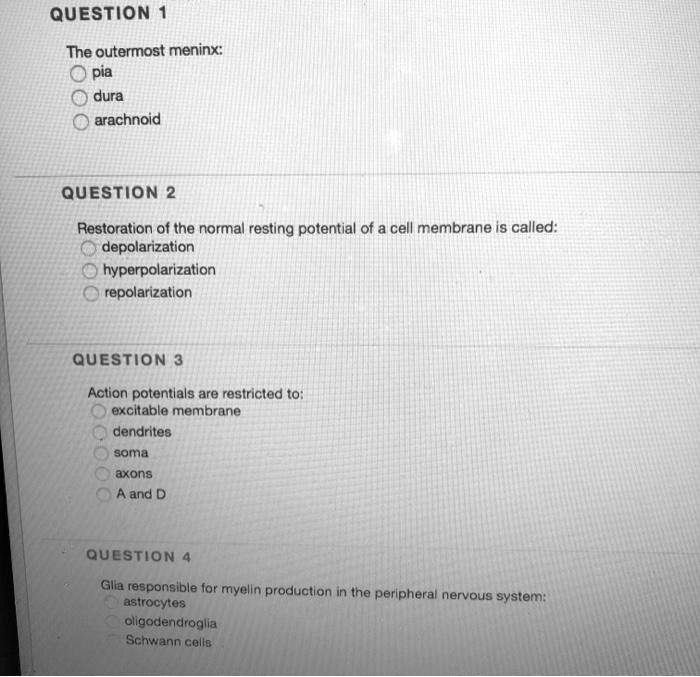 SOLVED: The outermost meninx: pia mater, dura mater, arachnoid ...