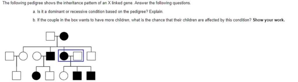 SOLVED: The following pedigree shows the inheritance pattern of an X linked gene. Answer the ...