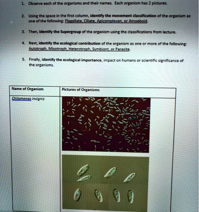 SOLVED: Text: Observe each of the organisms and their names. Each ...