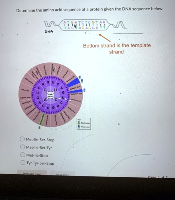 SOLVED: Determine the amino acid sequence of a protein given the DNA sequence below @HEJE DNA ...