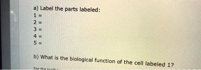 SOLVED: a) Label the parts labeled: b) What is the biological function ...