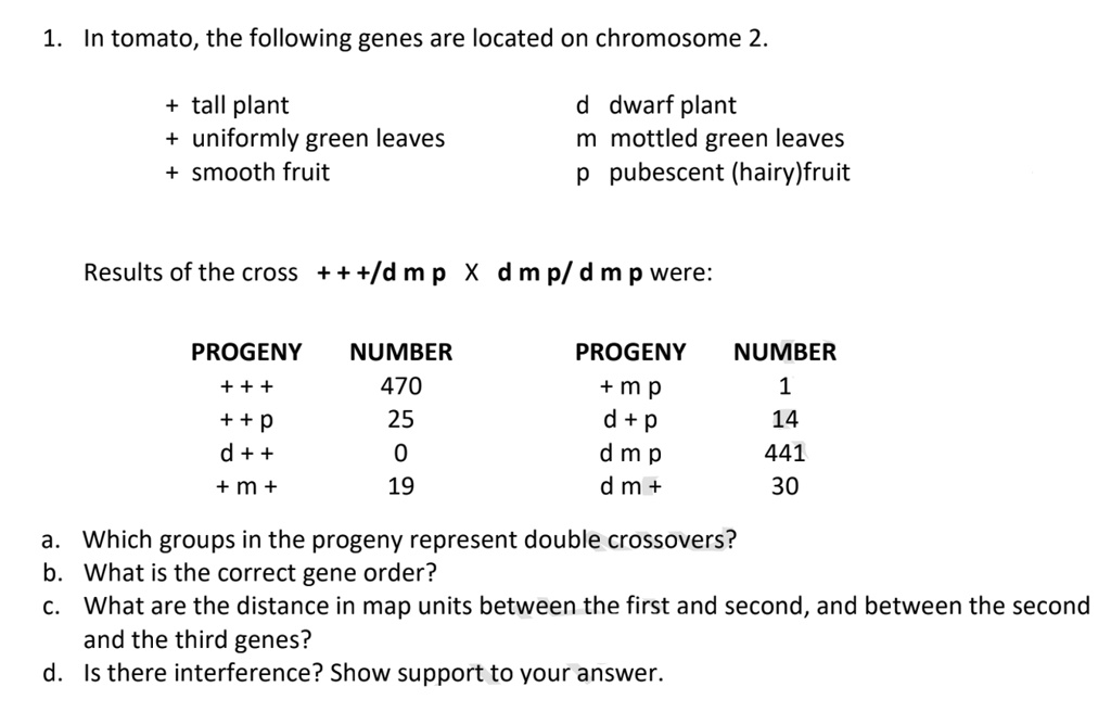 in tomato the following genes are located on chromosome 2 tall plant ...