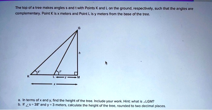 the top of a tree makes angles and t with points k and on the ground ...