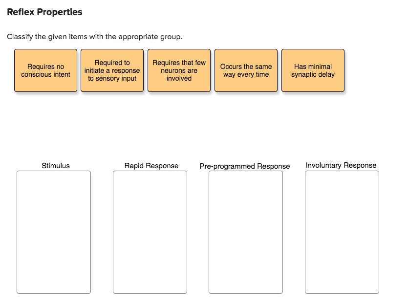 SOLVED: Reflex Properties Classify the given items with the appropriate ... SOLVED: Reflex Properties Classify the given items with the appropriate ...