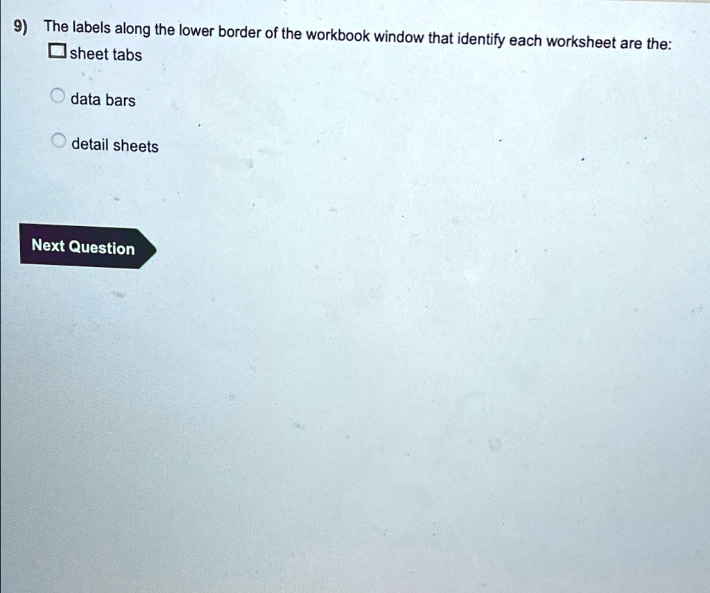 The labels along the lower border of the workbook window that identify ...