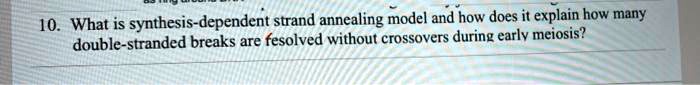 10. What is synthesis-dependent strand annealing model and...
