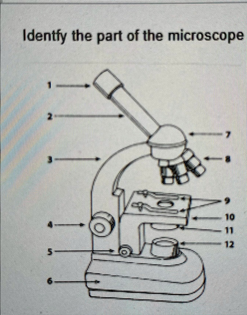 SOLVED: Identify the parts of the microscope Identify the parts of the microscope 12
