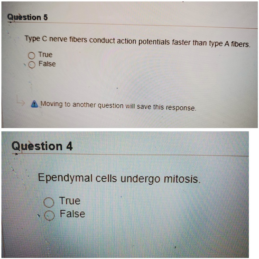 question 5 type nerve fibers conduct action potentials faster than type a fibers true false ...