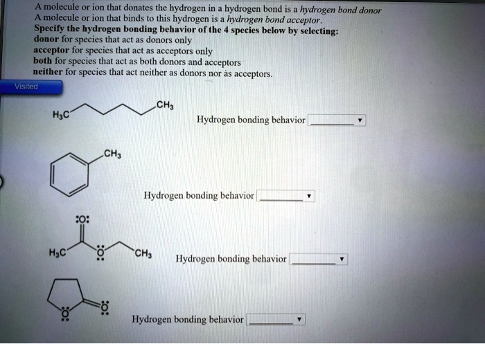 SOLVED: A molecule or ion that donates the hydrogen in hydrogen bond is ...