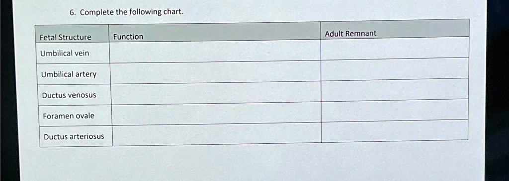 6. Complete the following chart. Fetal Structure Umbilical vein ...