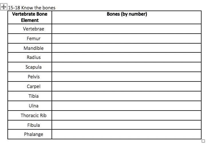 SOLVED: 15-18 Know the bones Vertebrate Bone Element Vertebrae Bones ...