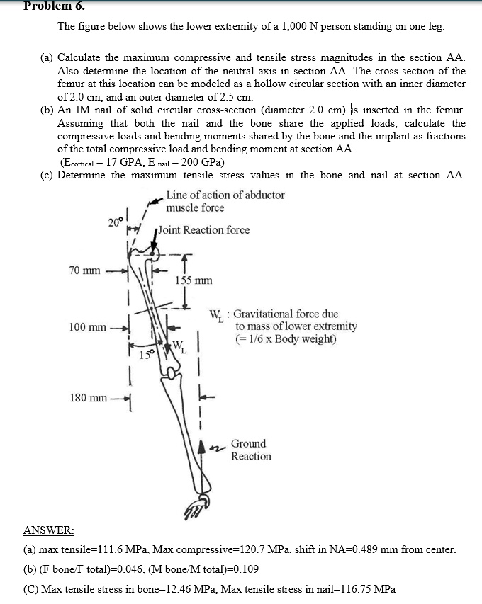 Problem 6. The figure below shows the lower extremity of a 1,000 N ...