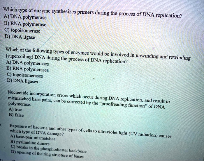 SOLVED: Which type of enzyme synthesizes primers during the process of ...