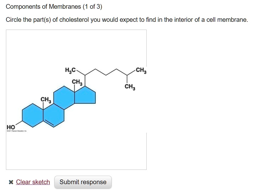 Components of Membranes (1 of 3) Circle the part(s) of...