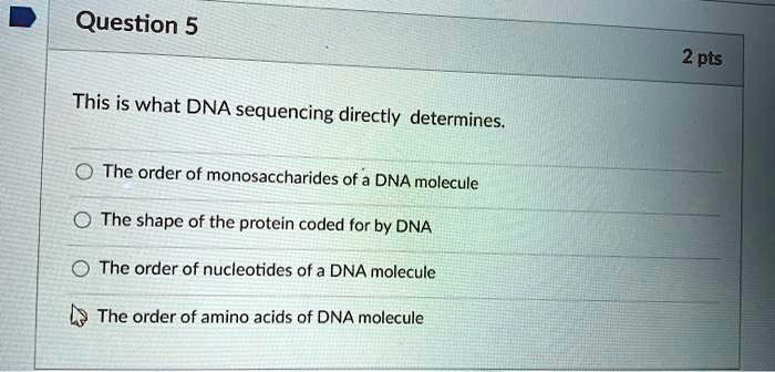 SOLVED: Question 5 2 pts This is what DNA 'sequencing directly ... SOLVED: Question 5 2 pts This is what DNA 'sequencing directly ...