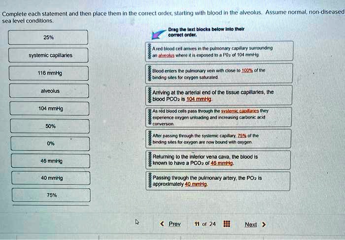 Complete each statement and then place them in the correct order ...