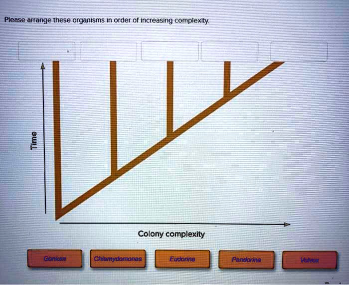 SOLVED: Please arrange these organisms In order 0l Increasing ...