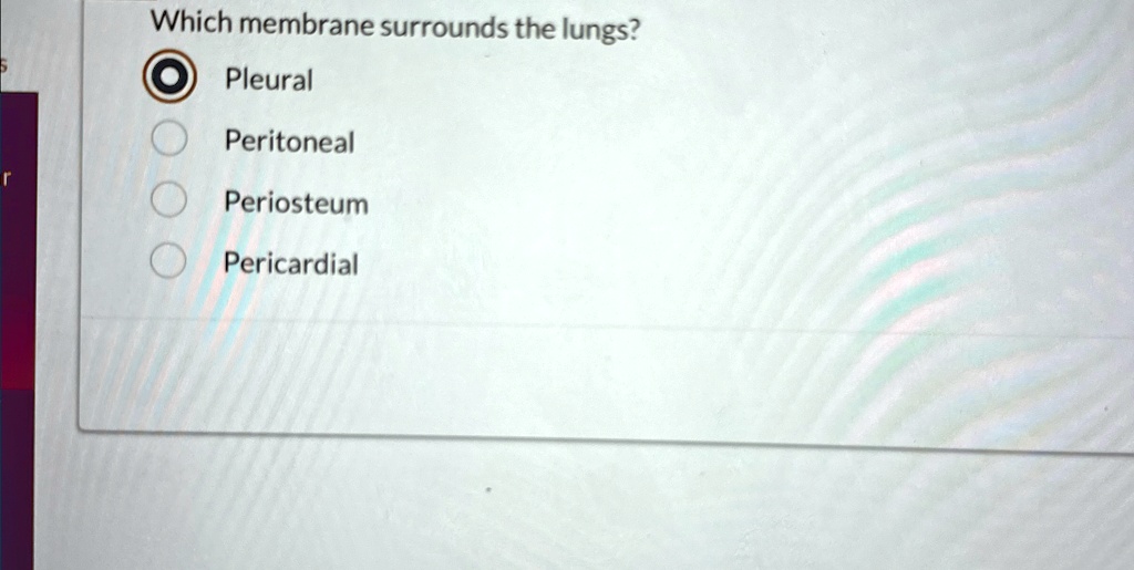 Which membrane surrounds the lungs? ? Pleural ? Peritoneal ? Periosteum ...
