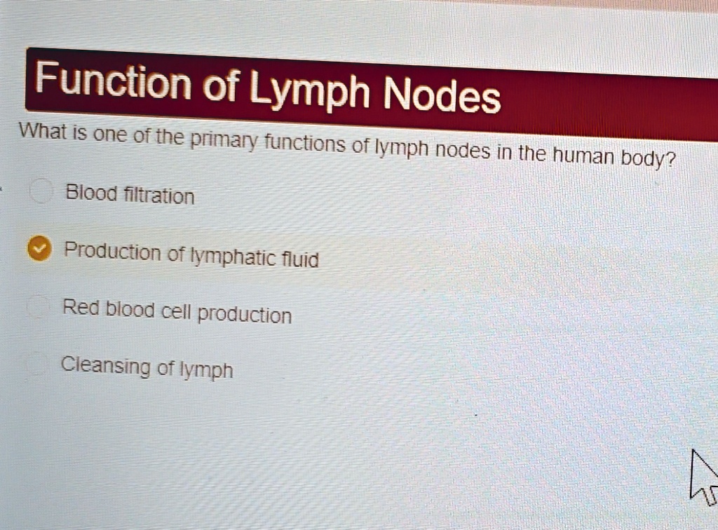 function of lymph nodes what is one of the primary functions of lymph nodes in the human body ...