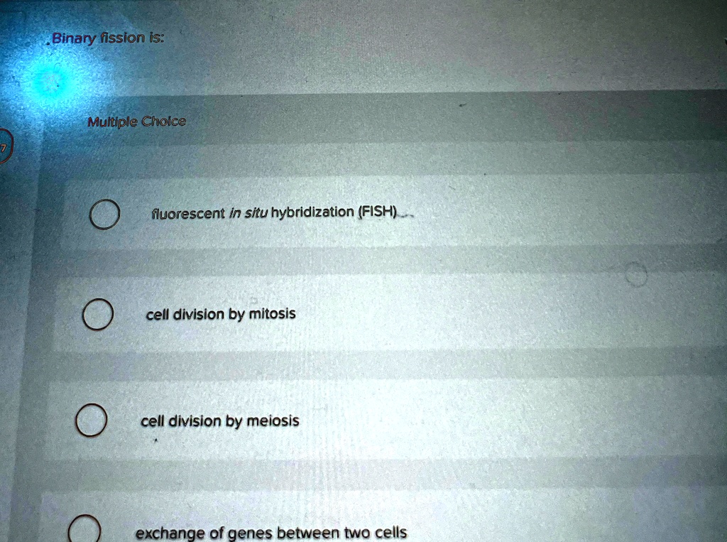 binary fission is multiple choice fluorescent in situ hybridization ...