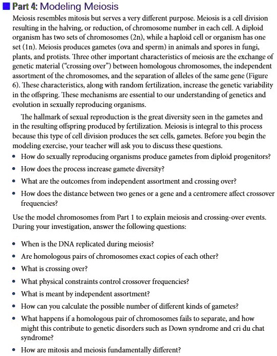 SOLVED: Part 4: Modeling Meiosis Meiosis resembles mitosis but serves a ...