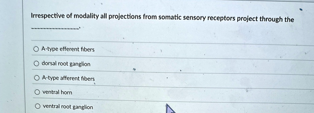 Irrespective of modality all projections from somatic sensory receptors ...