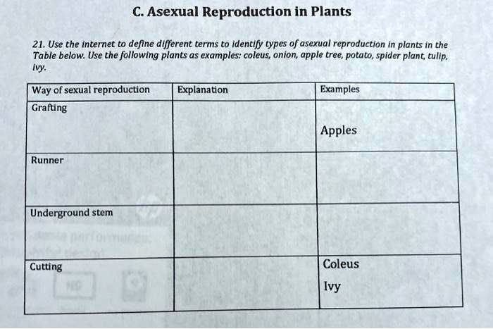 c asexual reproduction in plants 21 use the internet to define ...