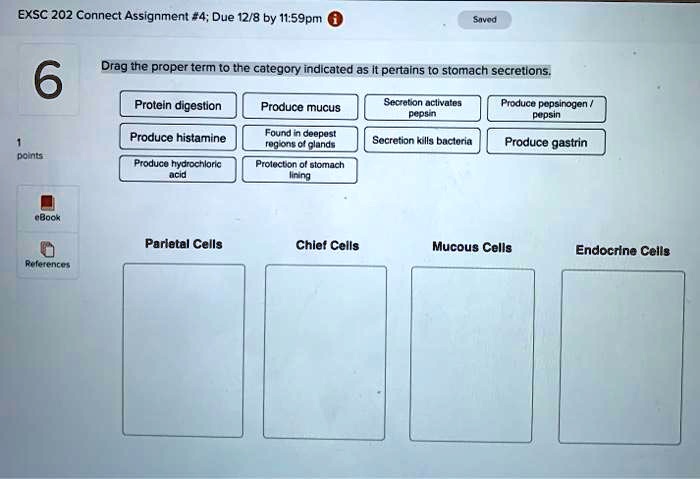 SOLVED: EXSC202 Connect Assignment #4; Due 12/8 by 11:59 pm Drag the ...