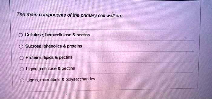 SOLVED: The main components of the primary cell wall are: Cellulose ...