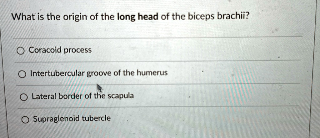 what is the origin of the long head of the biceps brachii coracoid ...