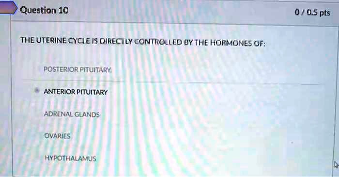 SOLVED: Question 10 0/0.5 pts THE UTERINE CYCLE IS DIRECTLY CONTROLLED ... SOLVED: Question 10 0/0.5 pts THE UTERINE CYCLE IS DIRECTLY CONTROLLED ...