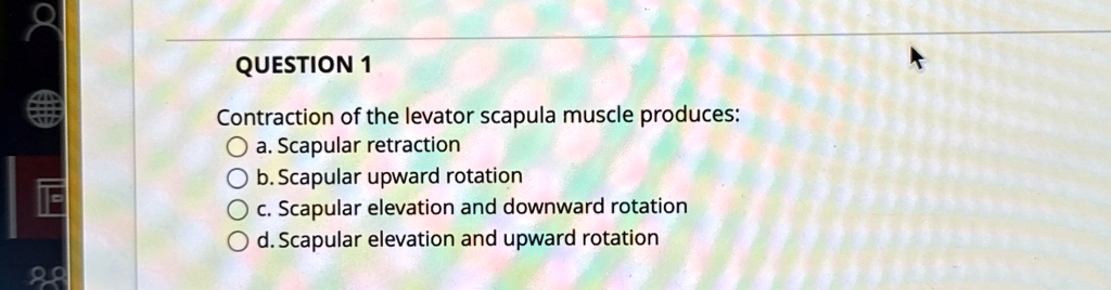 QUESTION 1 Contraction of the levator scapula muscle produces: a ...
